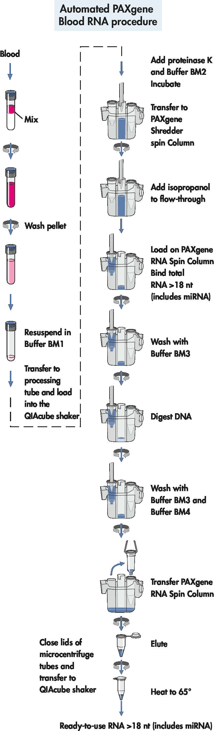 PreAnalytiX: PAXgene Blood RNA Kit (IVD) FDA