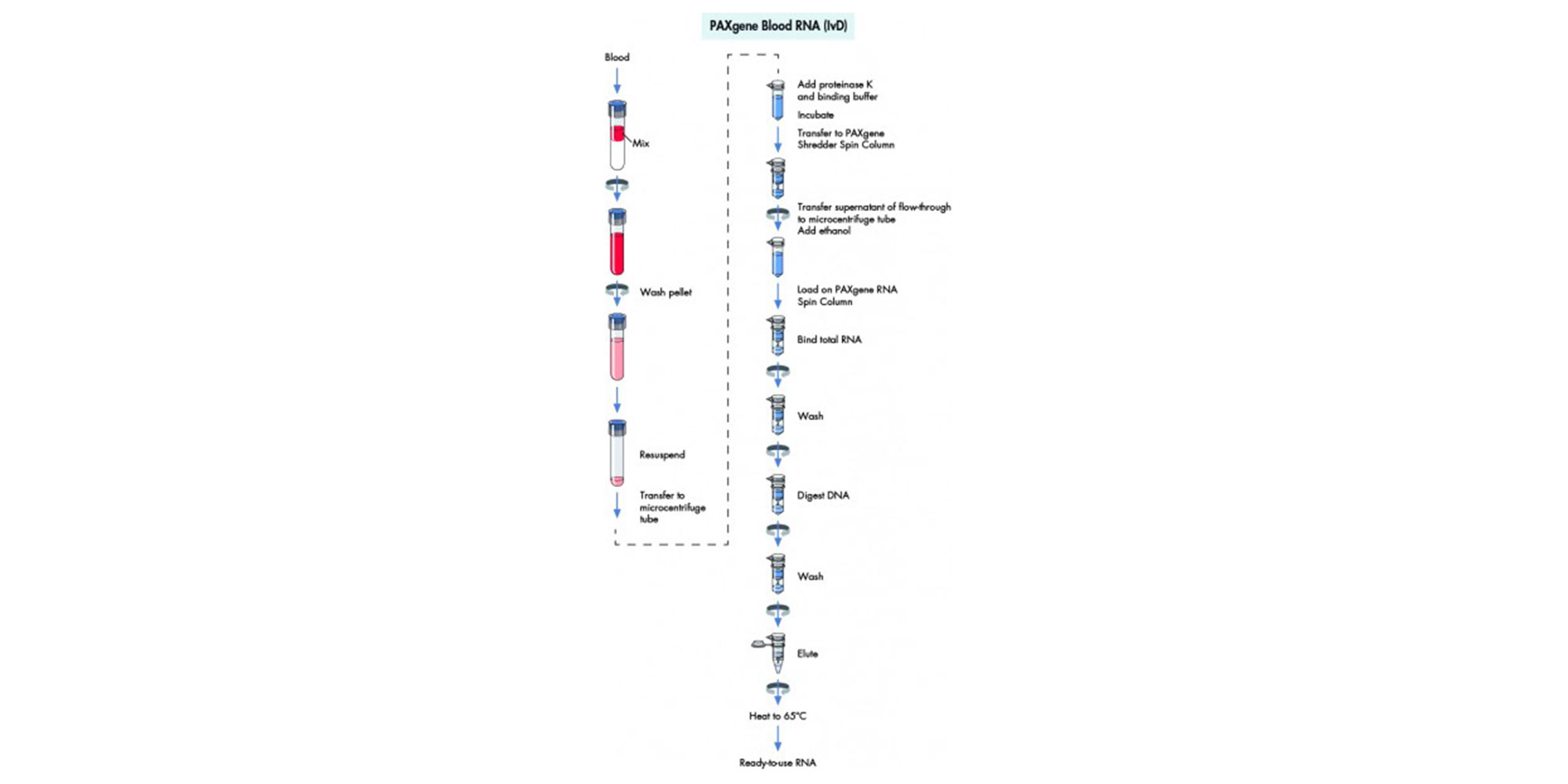 PAXgene Blood RNA Kit (IVD) FDA